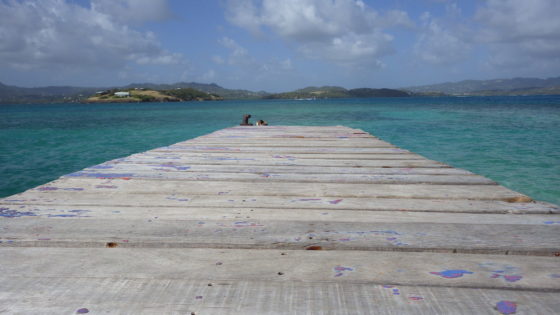 Vos plus beaux clichés de la Martinique #4 - Ti' Piment