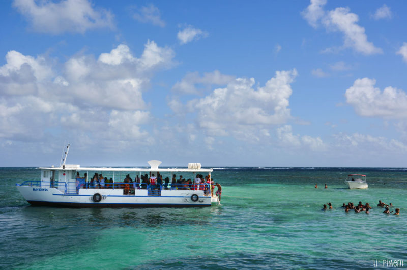 Martinique : notre TOP 15 de lieux à découvrir en bateau - Ti' Piment