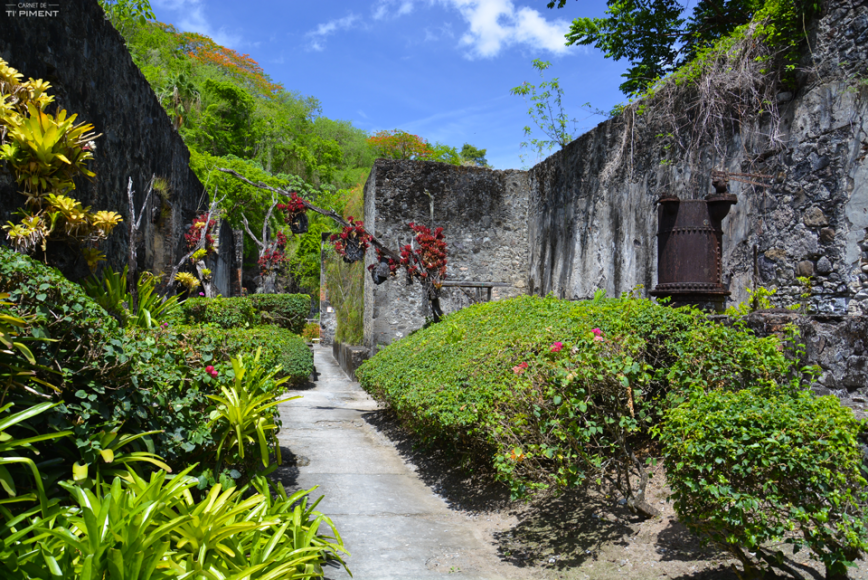 Ça vous dit une balade dans le nouveau parc zoologique de la Martinique ...